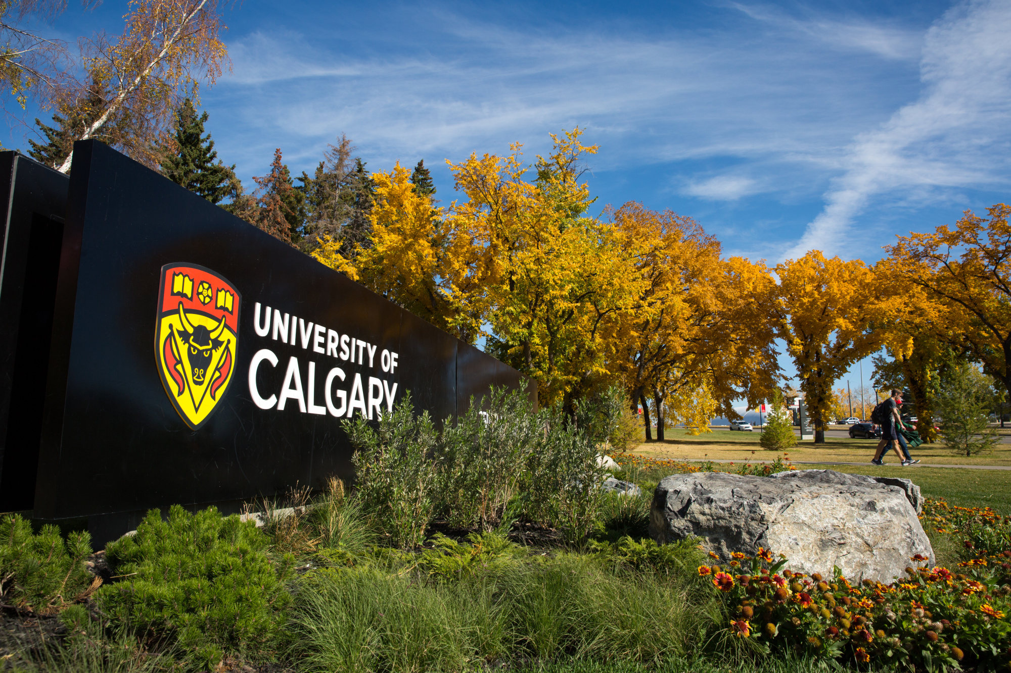 University of Calgary | DORA
