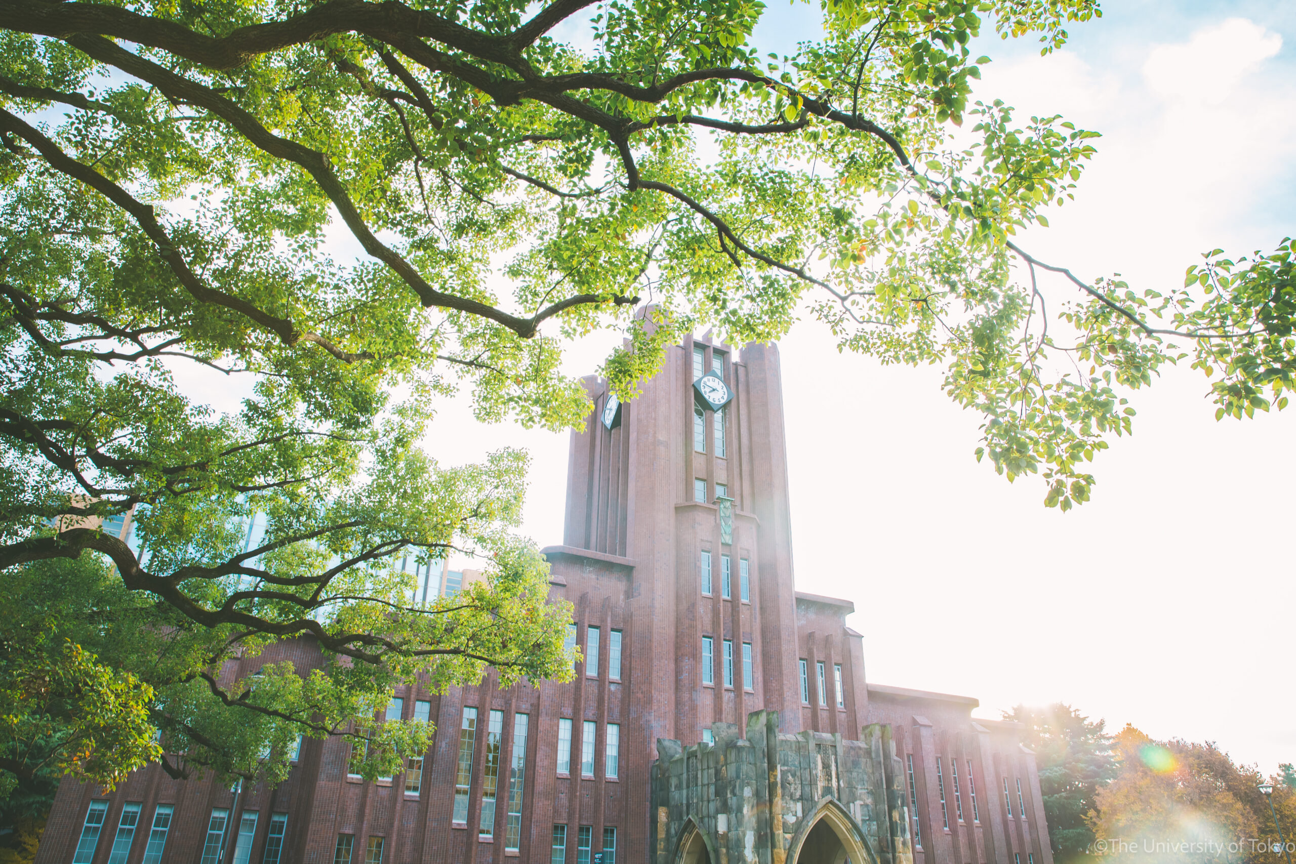 University of Tokyo | DORA